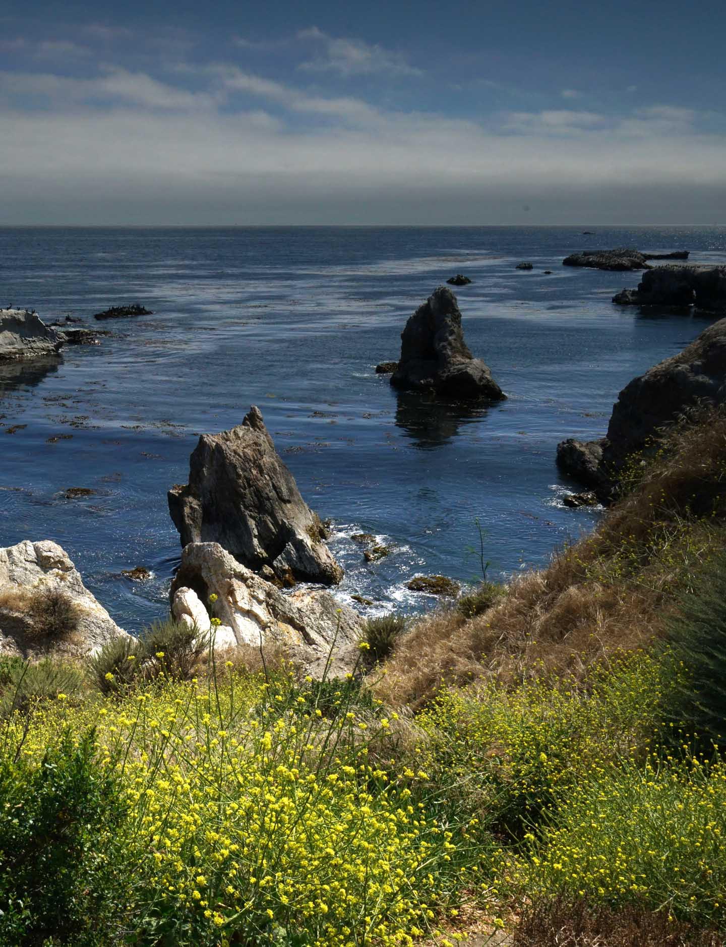 California Coast: Santa Maria, Pismo Beach - Eat Travel Go