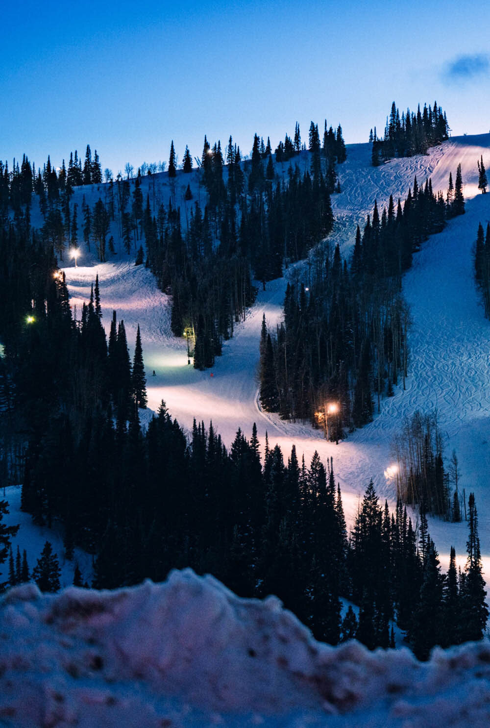 Fresh Powder Rocky Mountains